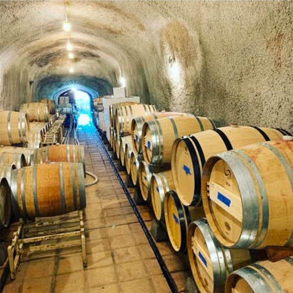 会員制ワインクラブ THE STELLA / 2016 MTGA Bennett Valley Pinot Noir