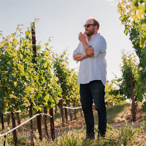会員制ワインクラブ THE STELLA / 2021 Stringer Stagecoach Vineyard Cabernet Sauvignon